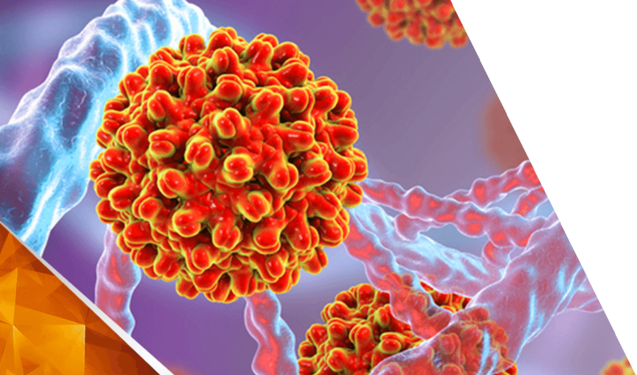 Causes and treatment to handle Autoimmune Hepatitis (AIH)