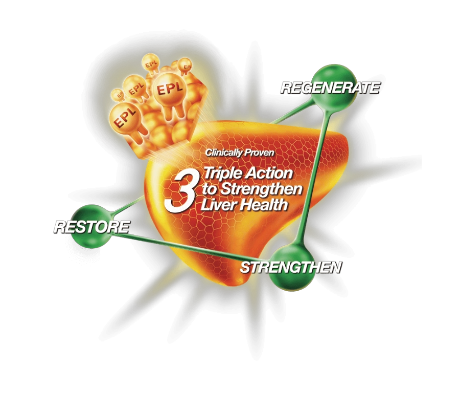 Essentiale® - How we can help you and what is used for